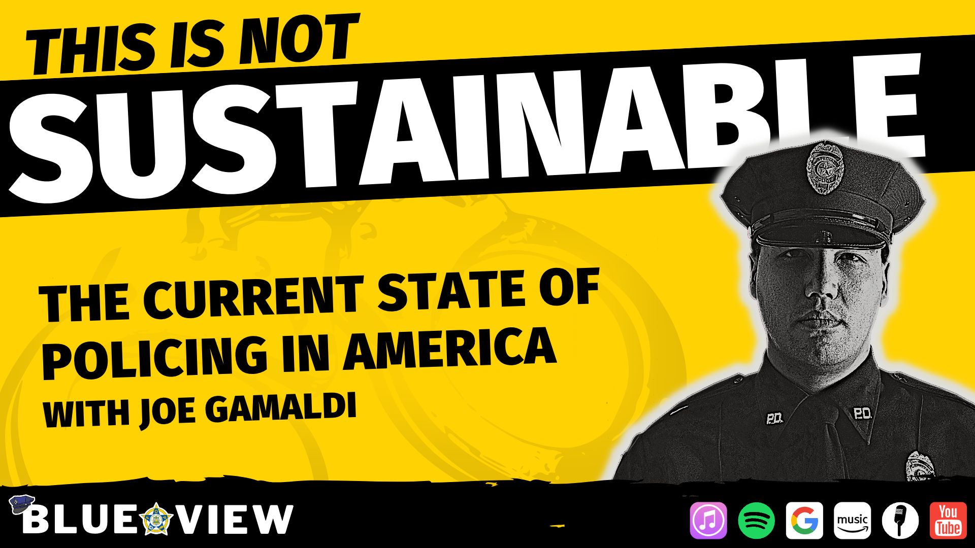 This Is Not Sustainable: the Current State of Policing in America with ...